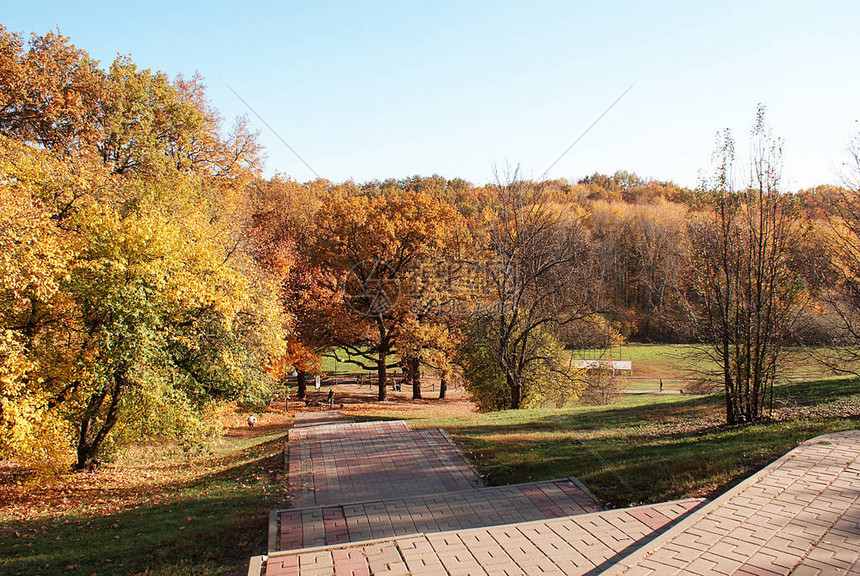 秋天落叶的秋天公园高清图片下载-正版图片506174225-摄图网