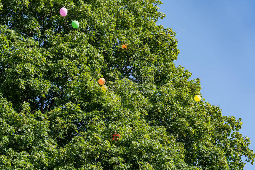 3th的树上挂在Challang高清图片下载-正版图片506189214-摄图网