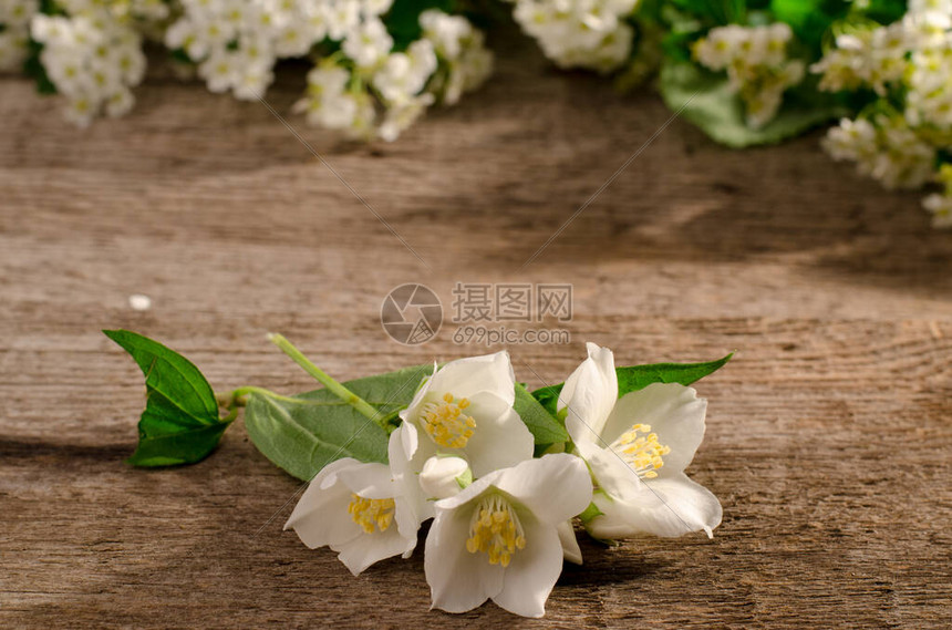 放在旧木桌上的清新芬芳的茉莉花白高清图片下载-正版图片506248869-摄图网