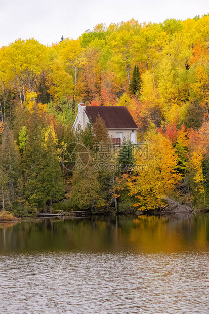 在加拿大湖边森林中的房子高清图片下载-正版图片506250074-摄图网