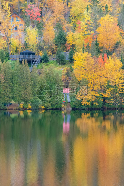 在加拿大湖边森林中的房子高清图片下载-正版图片506254103-摄图网