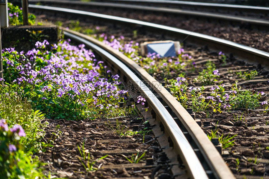 都电荒川1号线高清图片下载-正版图片506258658-摄图网