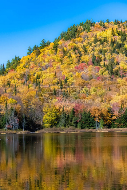 加拿大森林中的一个湖在印度夏季水高清图片下载-正版图片506259145-摄图网