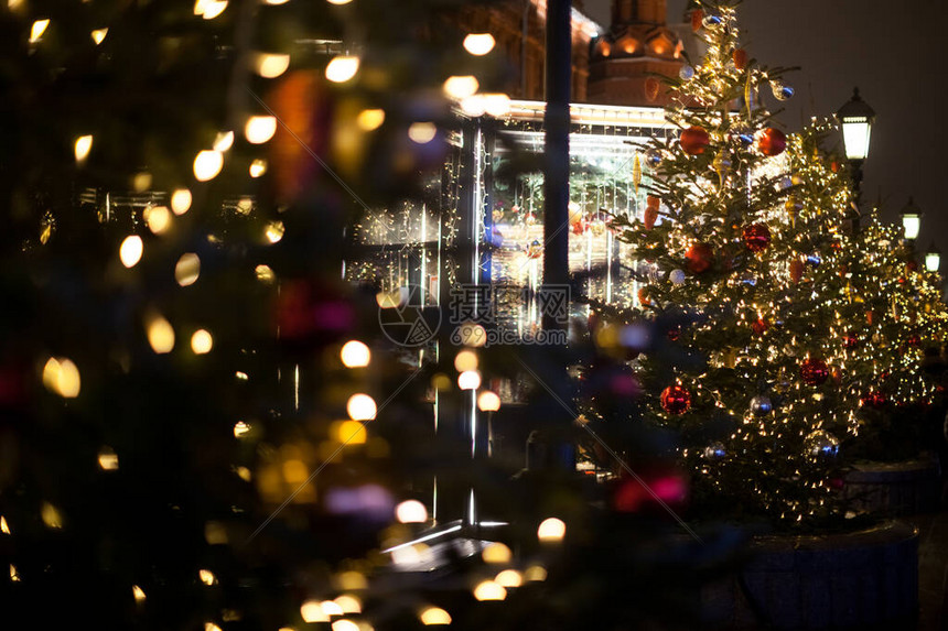圣诞树上的灯晚上有彩色灯高清图片下载-正版图片506261303-摄图网