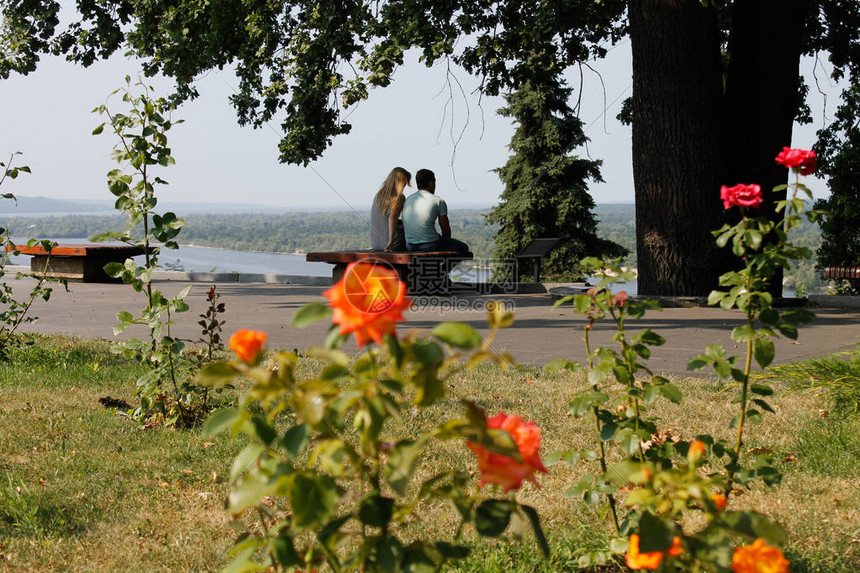 夏季Dnieper河景象高清图片下载-正版图片506269694-摄图网