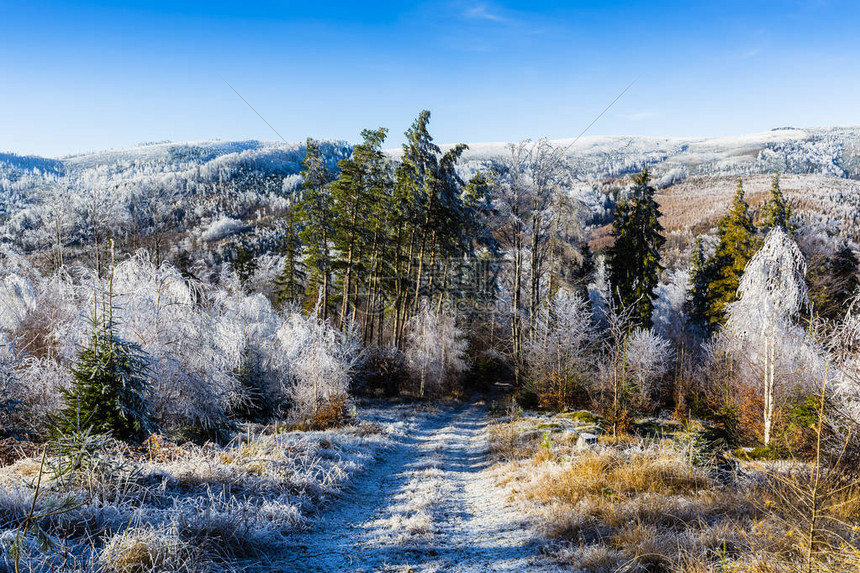贝斯基山坡覆盖着波兰的Skr高清图片下载-正版图片506286882-摄图网