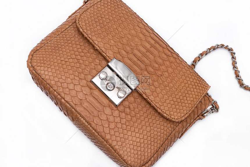 时尚豪华蛇皮蟒蛇包隔离在白色背景上高清图片下载-正版图片506315875-摄图网