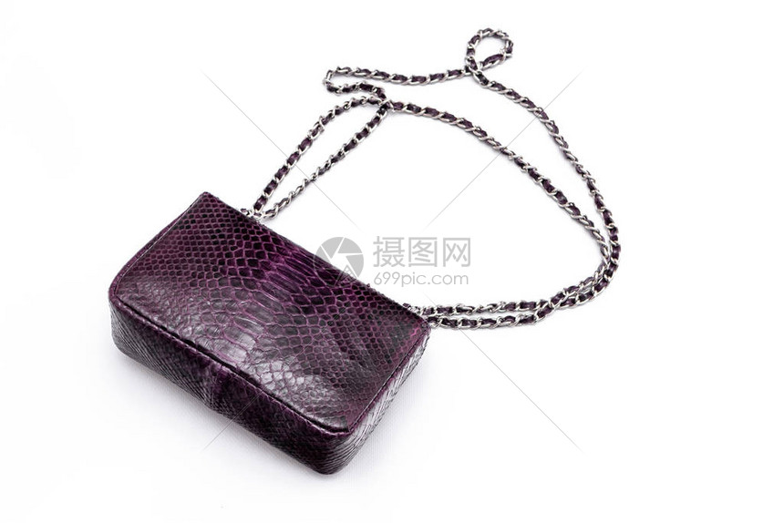 在白色背景上被孤立的豪华蛇皮袋高清图片下载-正版图片506346676-摄图网