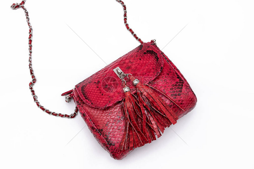 在白色背景上被孤立的豪华蛇皮袋高清图片下载-正版图片506346707-摄图网