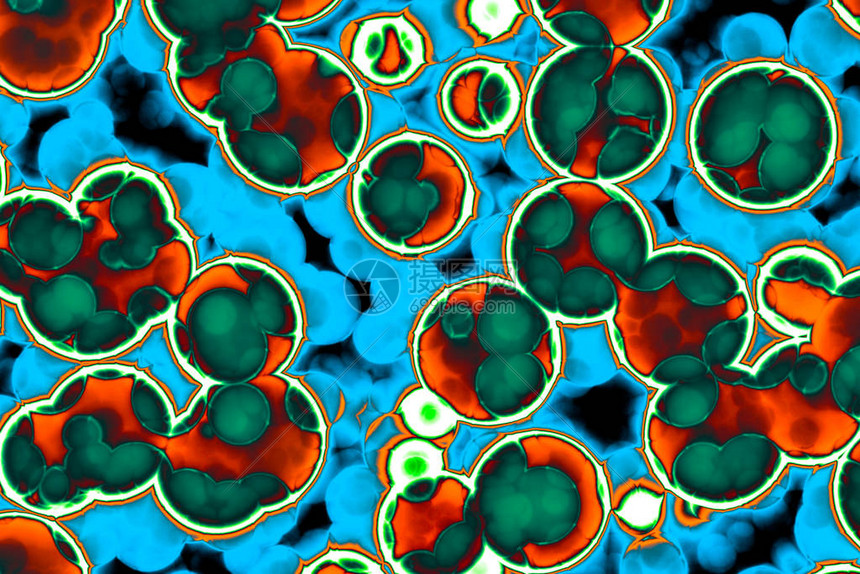 细菌胞的形状共角bacilli高清图片下载-正版图片506350937-摄图网