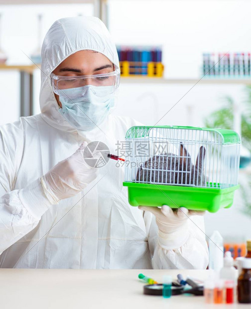 做动物试验的科学家高清图片下载-正版图片506351578-摄图网