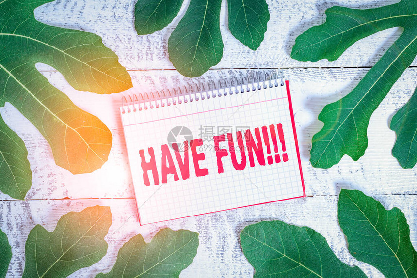 概念手写显示HaveFun概念意指希望某人在做某事时有美好和愉快的时光高清图片下载-正版图片506360918-摄图网