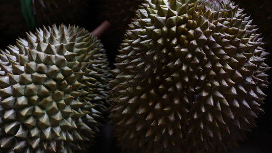 Durian水果泰国最美味的d高清图片下载-正版图片506144600-摄图网