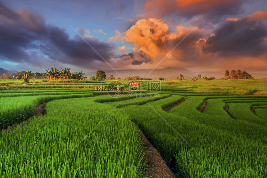 印尼的风景印度尼西亚的本库鲁河水沼高清图片下载-正版图片506488271-摄图网