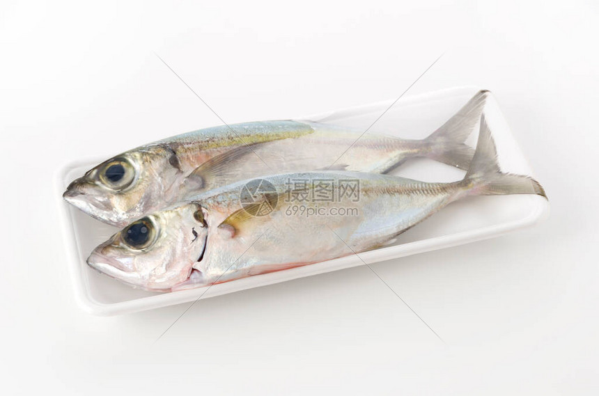 Selar高清图片下载-正版图片506536210-摄图网