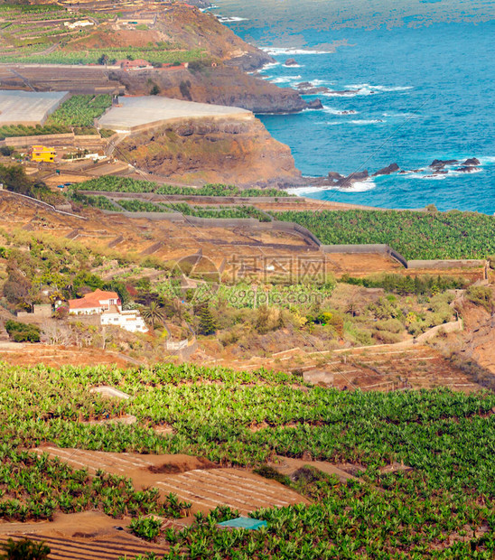 特内里费岛上的拉克鲁斯港海岸高清图片下载-正版图片506552974-摄图网