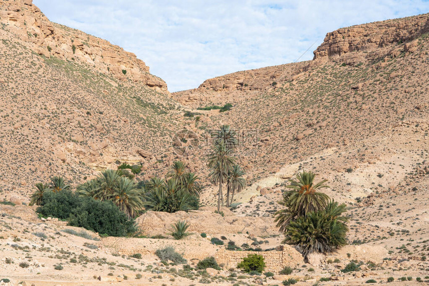 杜尼斯亚的djebel高清图片下载-正版图片506573433-摄图网