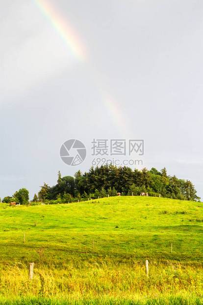 丹麦雨后彩虹高清图片下载-正版图片506590916-摄图网
