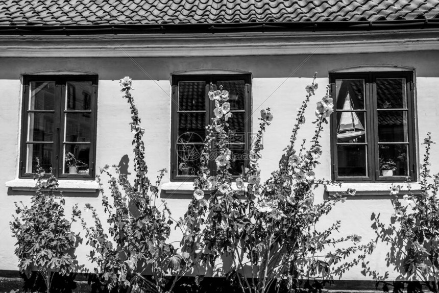 美丽的丹麦建筑在高清图片下载-正版图片506602204-摄图网