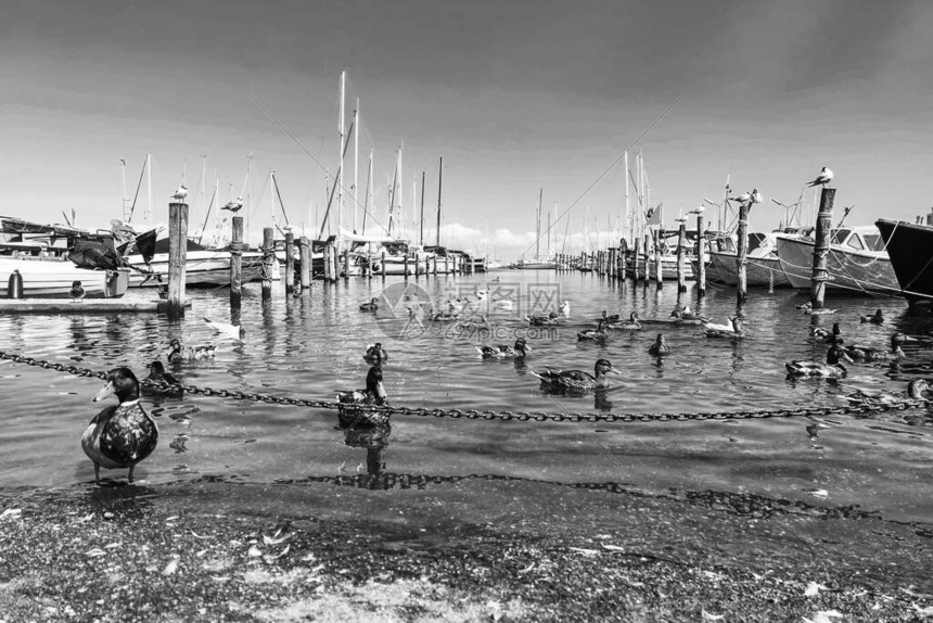 伟大的丹麦哥本哈根和大海高清图片下载-正版图片506603134-摄图网