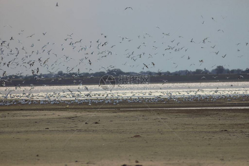 莱贝迪夫卡乌克兰奥德萨地区Bess高清图片下载-正版图片506617539-摄图网