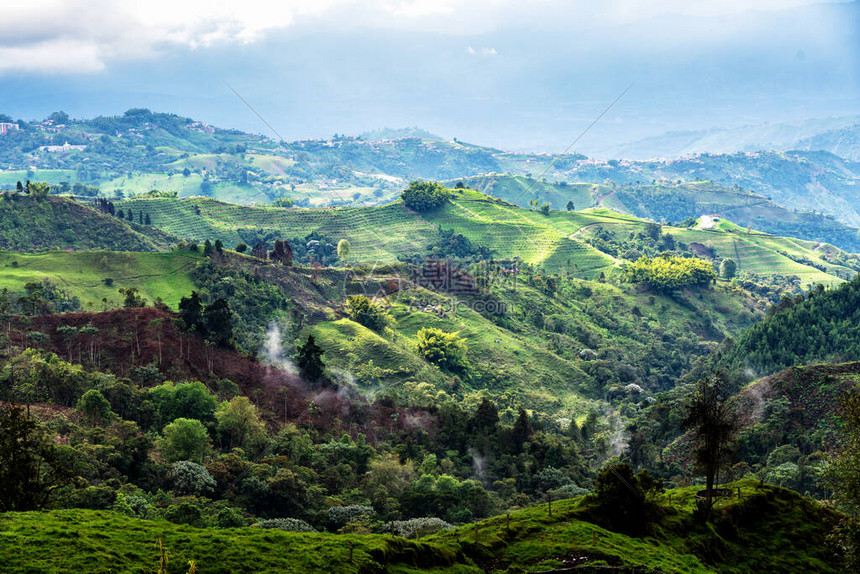 南美洲卡尔达斯省马尼萨莱斯附近哥伦比亚农村雾蒙的山高清图片下载-正版图片506623771-摄图网