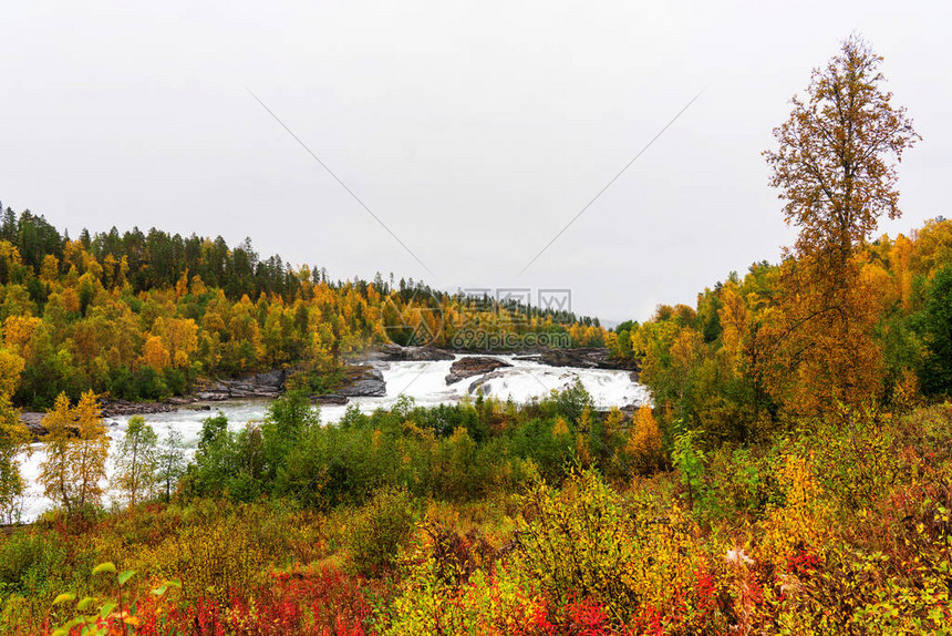 位于挪威TromsogFinnmark地区Tamok山谷的Bard高清图片下载-正版图片506631940-摄图网