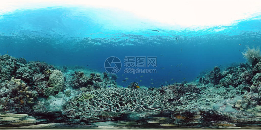 360VR高清图片下载-正版图片506635191-摄图网