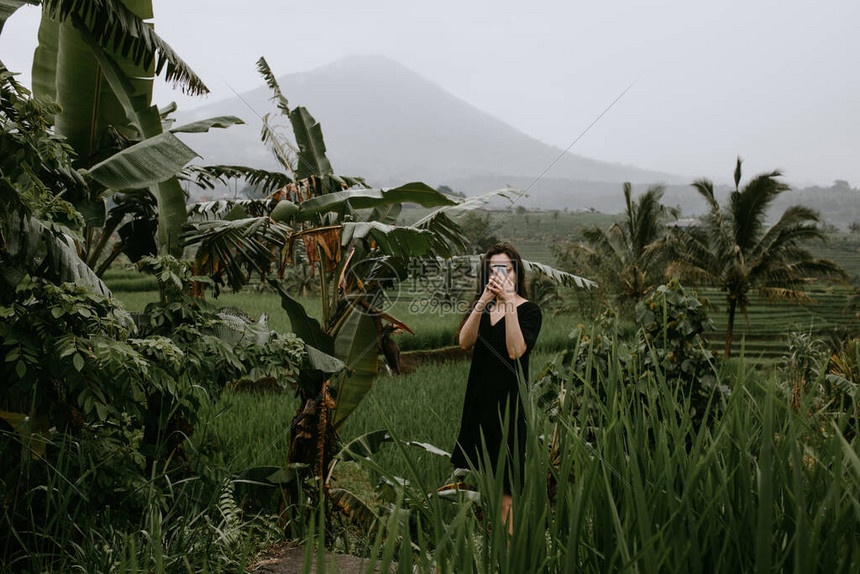 印度尼西亚水稻高清图片下载-正版图片506636645-摄图网