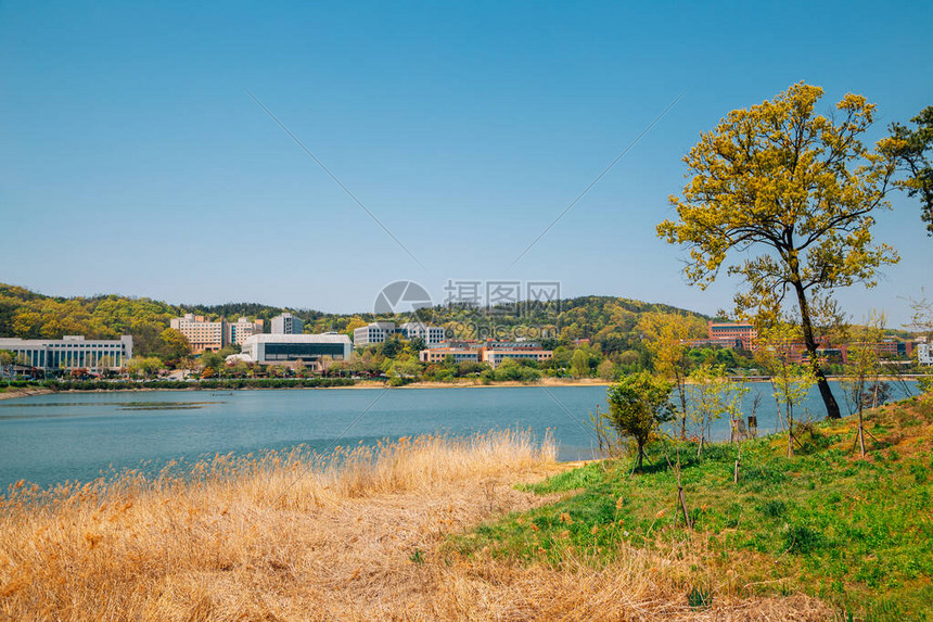 韩国天安市Cheo高清图片下载-正版图片506670206-摄图网