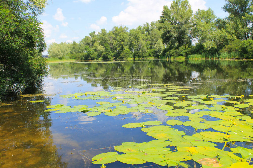 夏天美丽的湖高清图片下载-正版图片506674798-摄图网