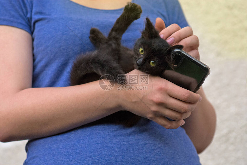 女人和小猫玩耍可爱的神奇小猫可爱漂亮的小猫的画像俏高清图片下载 正版图片506679314 摄图网
