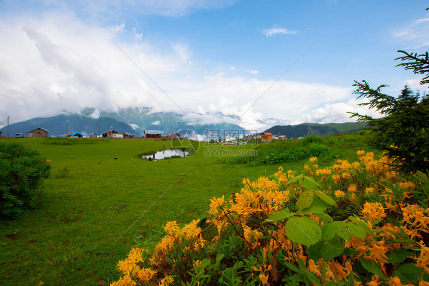 黑海土耳其的Badara高原Rize高清图片下载-正版图片506702409-摄图网