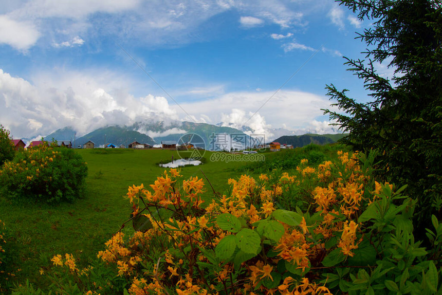 黑海土耳其的Badara高原Rize高清图片下载-正版图片506702429-摄图网