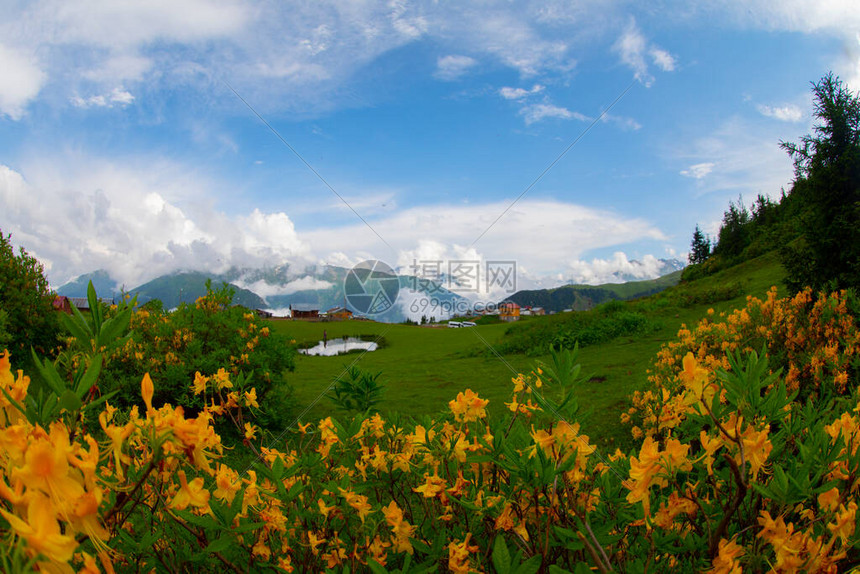 黑海土耳其的Badara高原Rize高清图片下载-正版图片506702432-摄图网