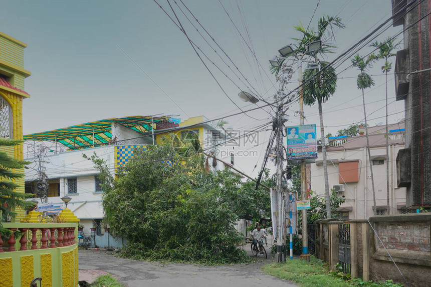超级气旋Amphan连根拔除的树倒塌和堵塞了道路高清图片下载-正版图片506736046-摄图网