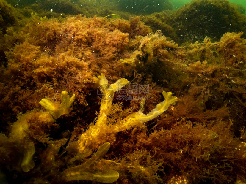 图片来自瑞典南部马尔默的奥里桑德Oresund照片高清图片下载-正版图片506737264-摄图网