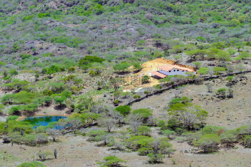 哥伦比亚巴里查拉森林中带橙色瓦屋顶高清图片下载-正版图片506738874-摄图网