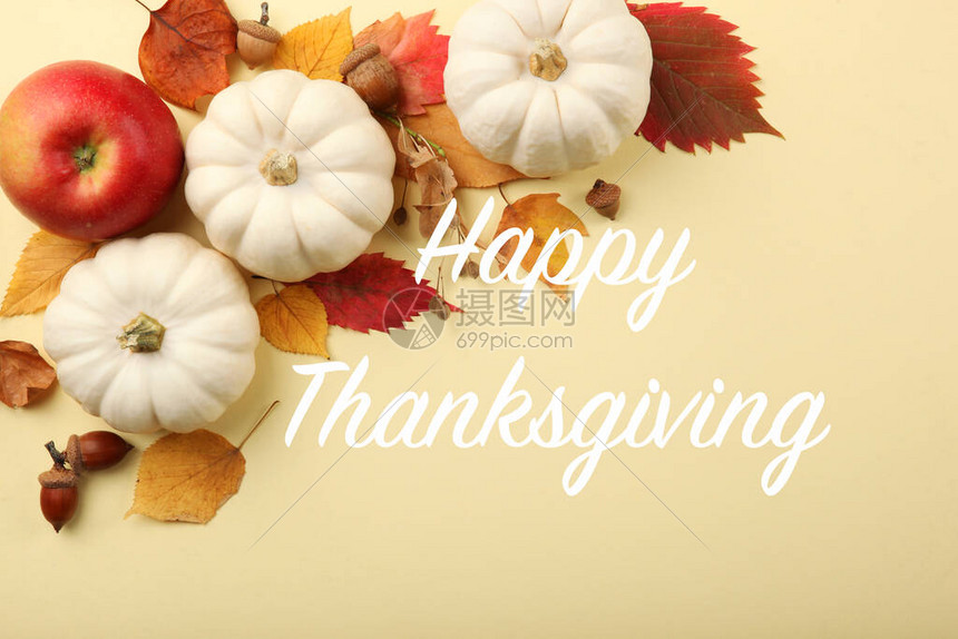 美丽的感恩节背景顶视图高清图片下载-正版图片506740397-摄图网