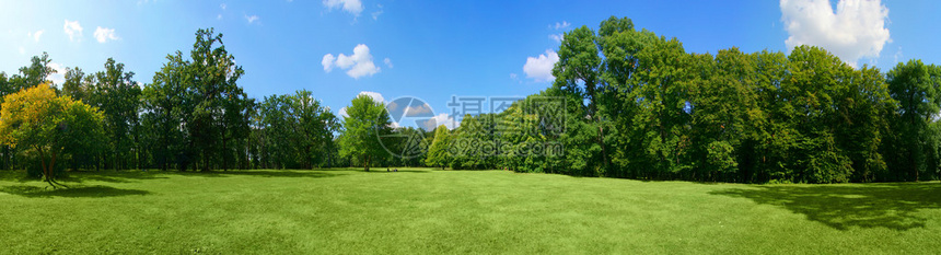 公园草地高清图片下载-正版图片506979532-摄图网