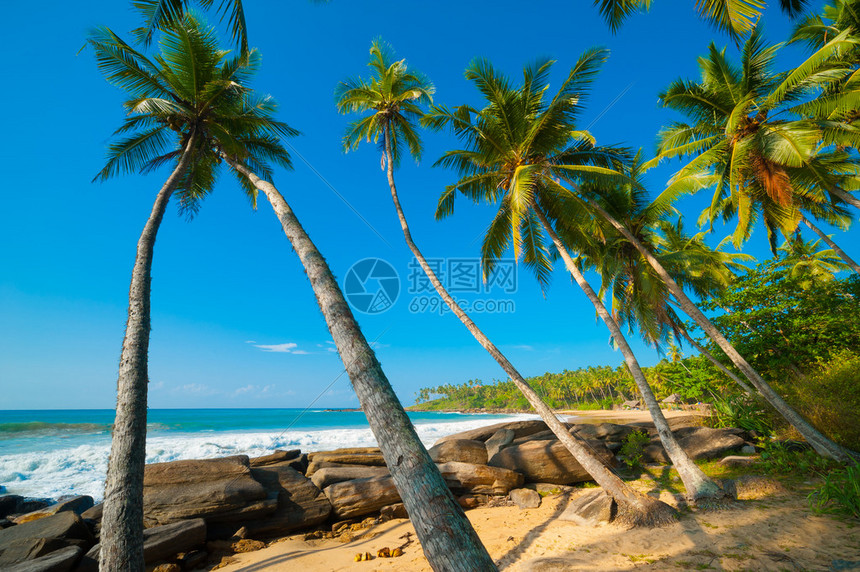 斯里兰卡无触高清图片下载-正版图片507062172-摄图网