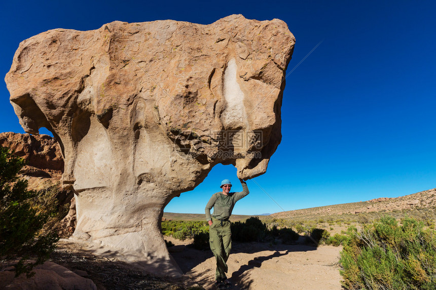 萨尔瓦多达利沙高清图片下载-正版图片507079728-摄图网