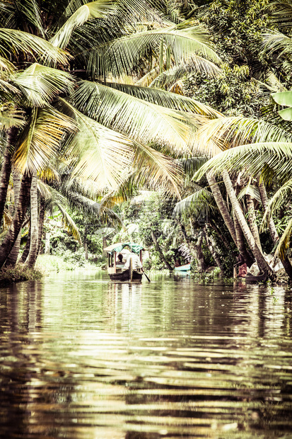 印度喀拉邦Alappuzha棕榈附近后高清图片下载-正版图片507088120-摄图网