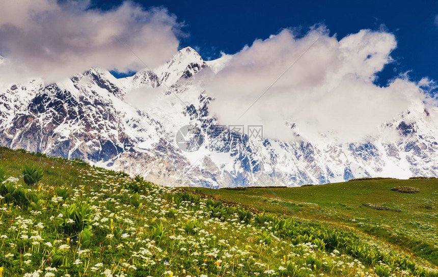 Chkhutnieri山口施哈拉山脚下的高山草甸上斯瓦涅季高清图片下载-正版图片507091726-摄图网