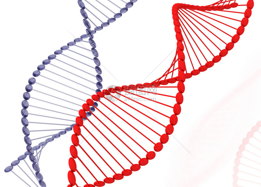 DNA概念高清图片下载-正版图片507093226-摄图网