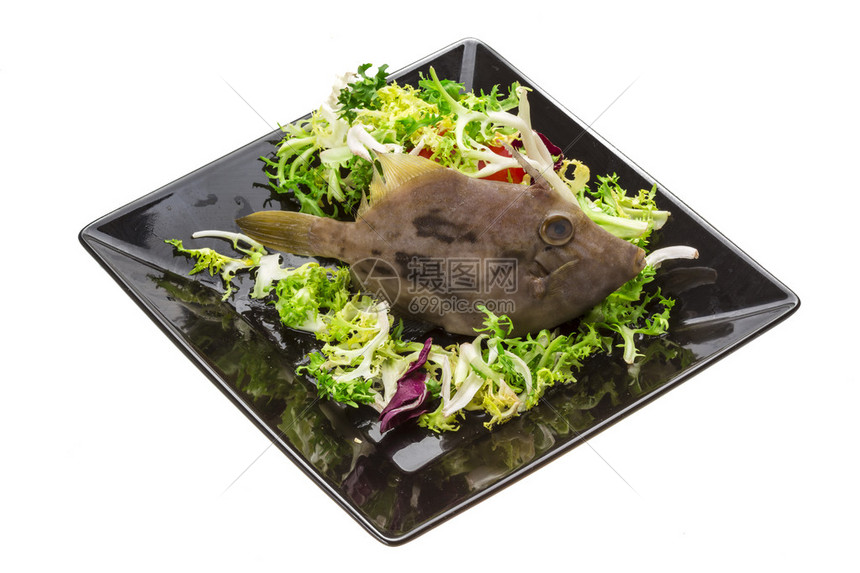 鱼PesceSanPietro高清图片下载-正版图片507093726-摄图网