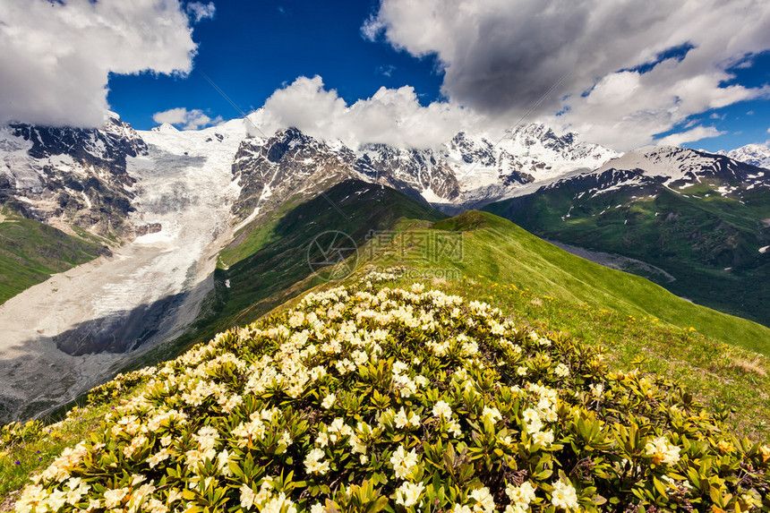 Chkhutnieri山口Tetnuldi冰川脚下的高山草甸上斯瓦涅季高清图片下载-正版图片507101695-摄图网