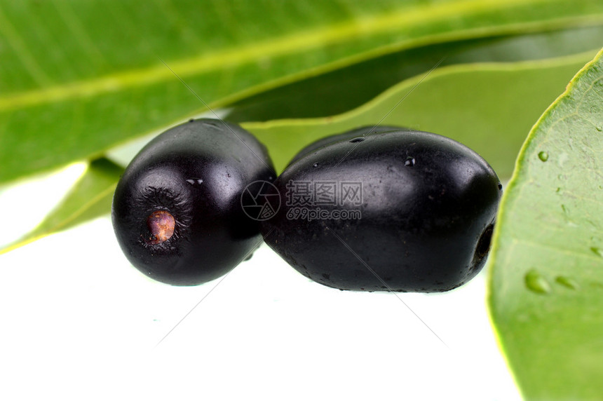 Jambul或JamunCuminiSyzygiumcumini高清图片下载-正版图片507207400-摄图网