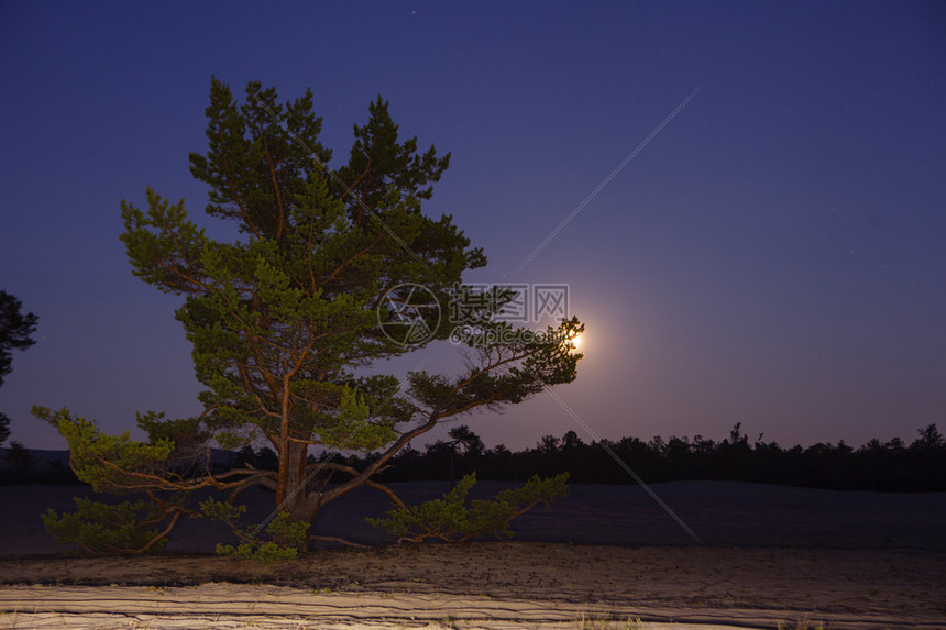 Baikal湖高清图片下载-正版图片507212457-摄图网