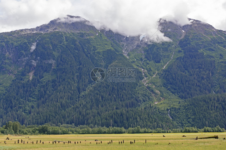 不列颠哥伦比亚省斯图尔特附近一个海洋Estuar高清图片下载-正版图片507229919-摄图网
